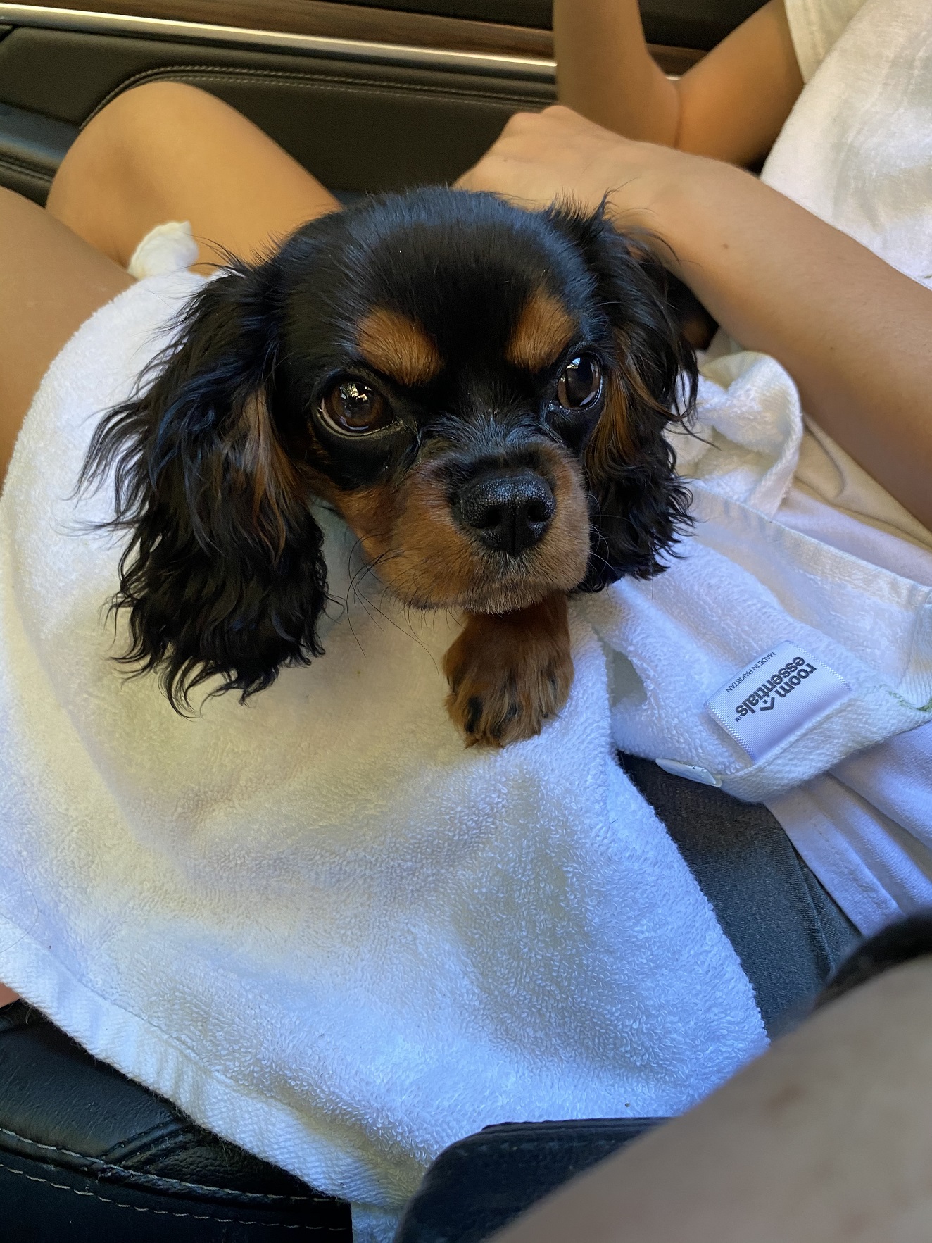 Daily Schedules - VetSummer