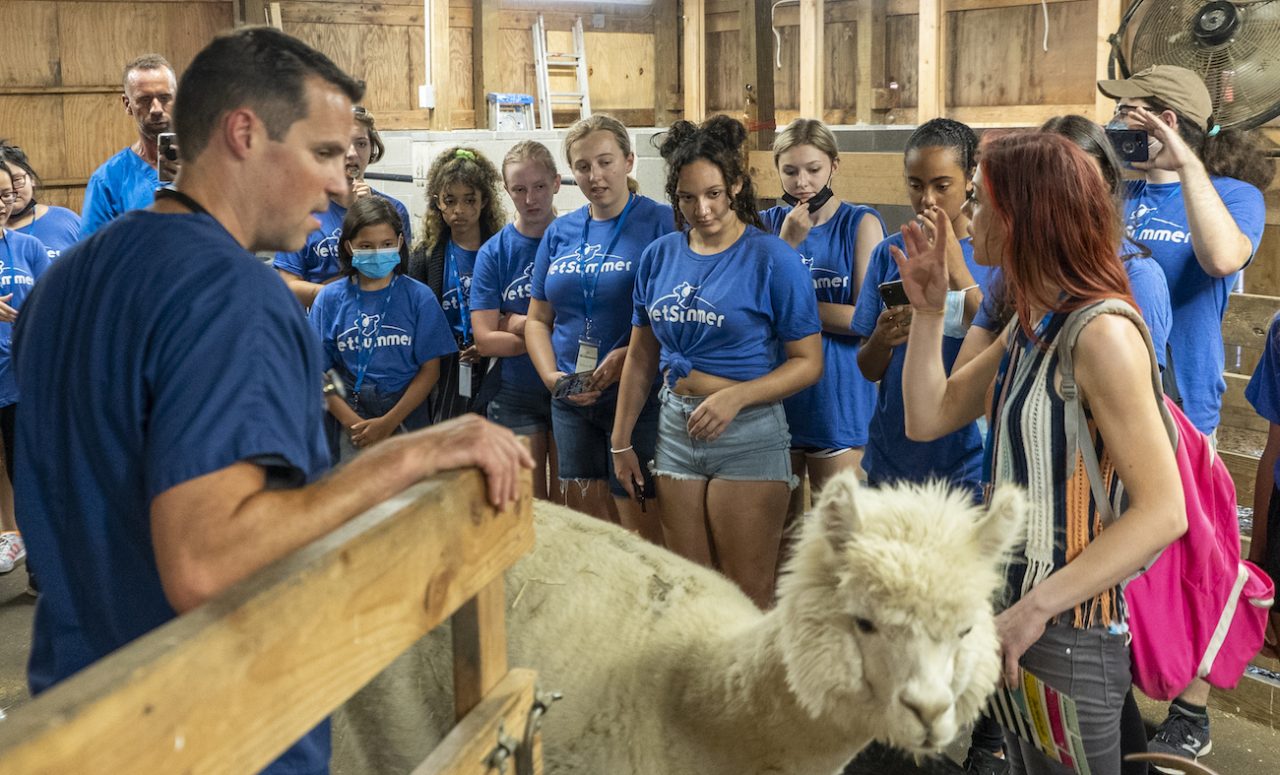 Veterinary medicine schools and summer camps for grades 8-12