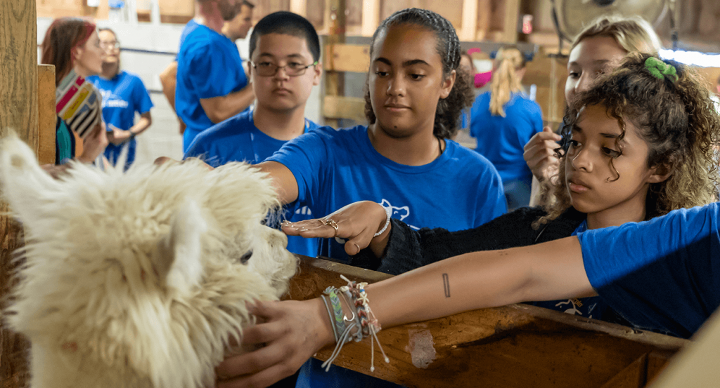 Animal Camp DC - Veterinary Camps for Teens, must love animals