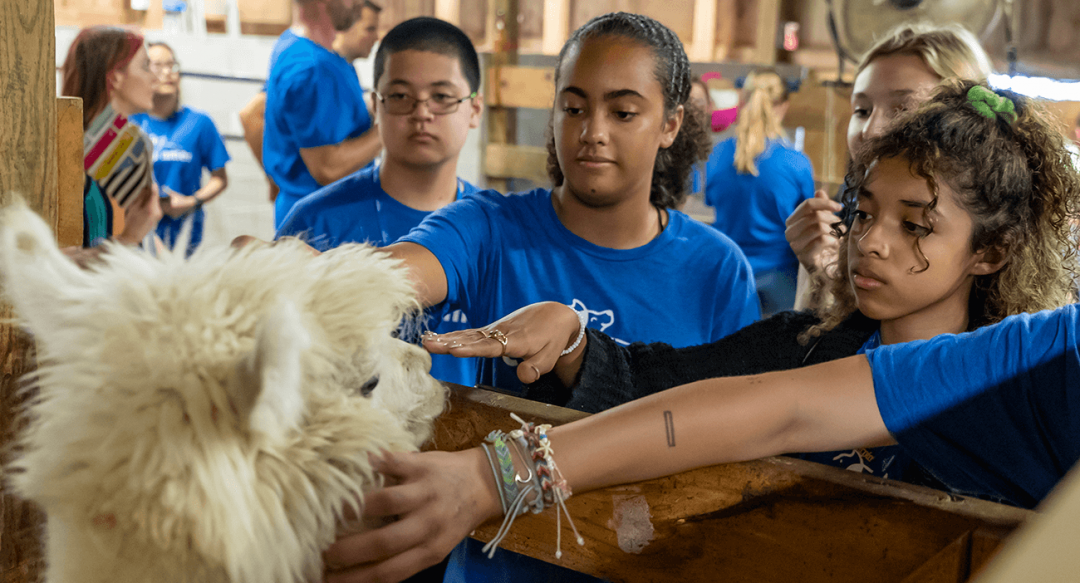 Animal Camp DC - Veterinary Camps for Teens, must love animals