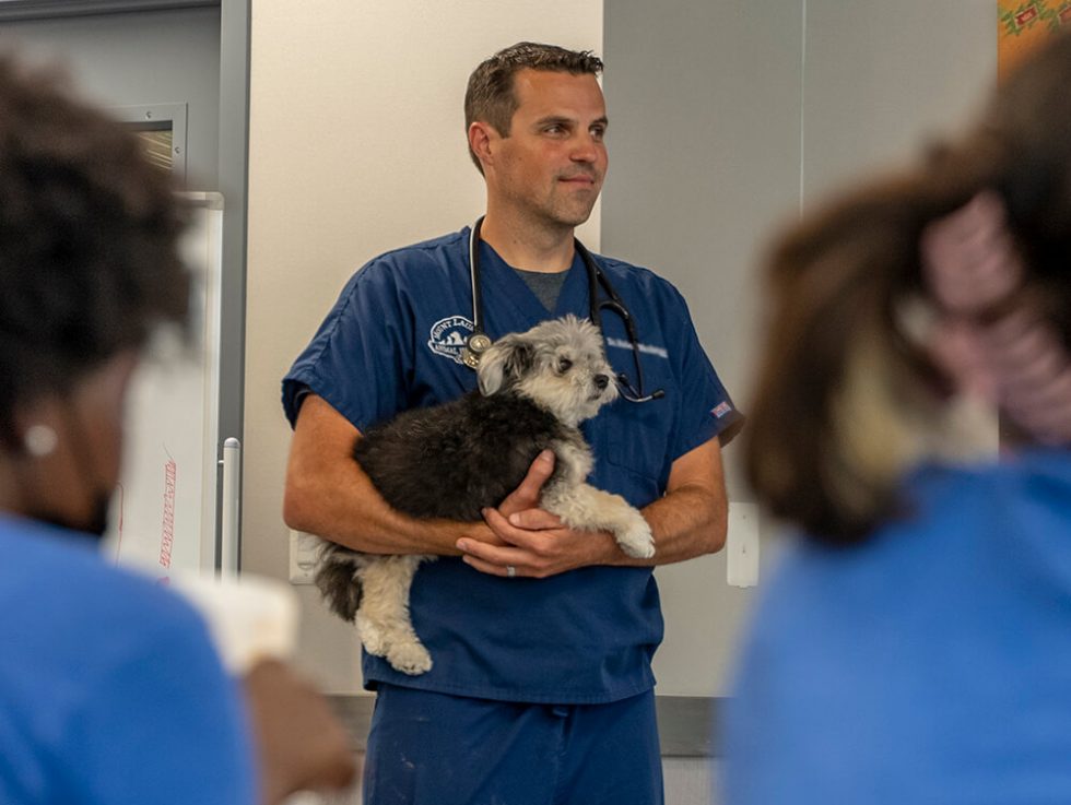 Enrollment - VetSummer for teens who love animals, vet or vet tech