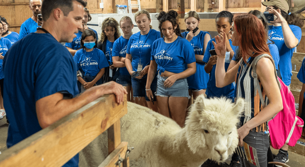 Animal Camp - Veterinary Summer Camps for Teens, On College Campus