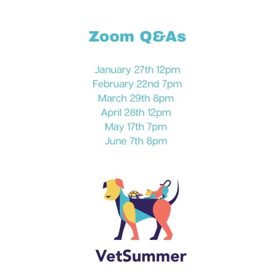 Contact Us - VetSummer
