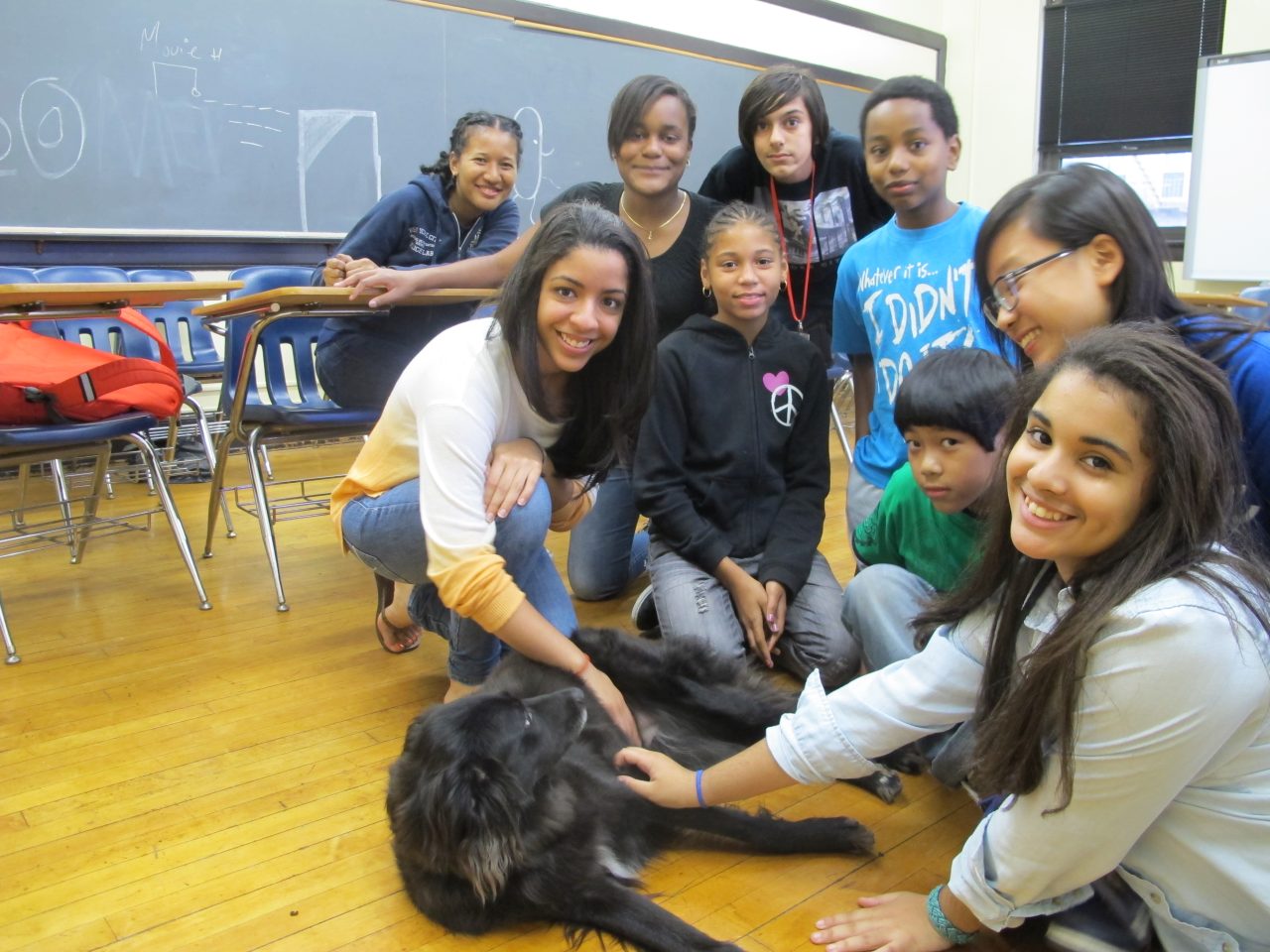 Veterinary medicine schools and summer camps for grades 8-12
