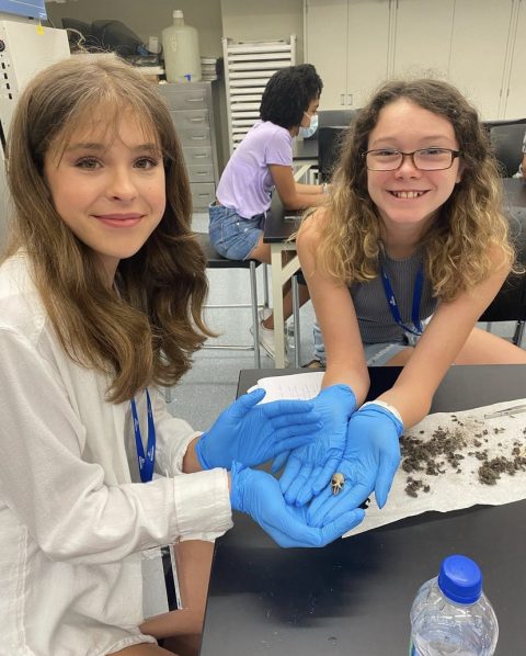 Contact Us - VetSummer